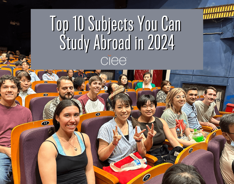 What Subjects Can You Study Abroad: Top 10 [2024] | CIEE